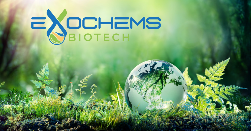Exochems Biotech - Technologies vertes au service de l'environnement