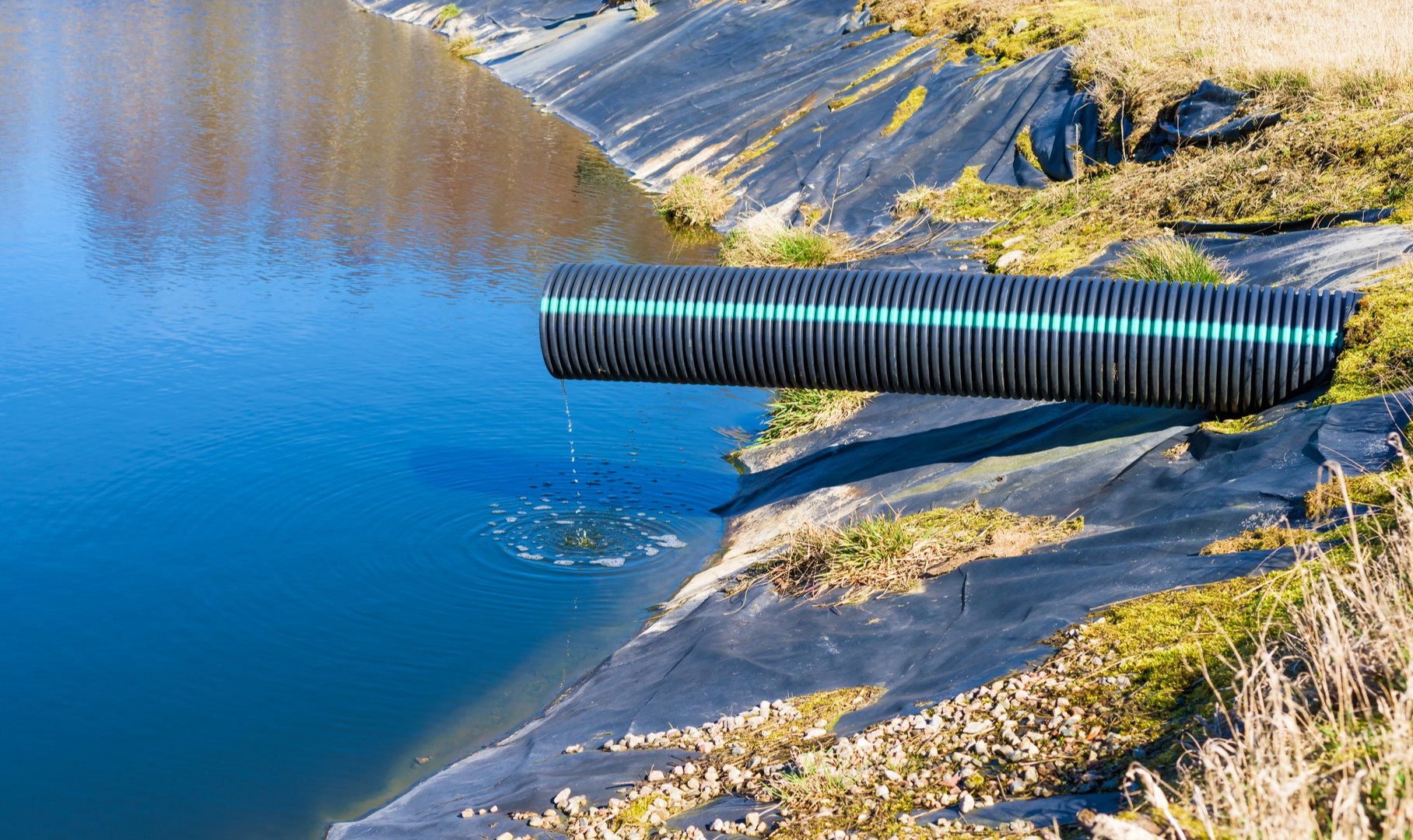 Exochems Biotech - Technologies vertes au service de l'environnement